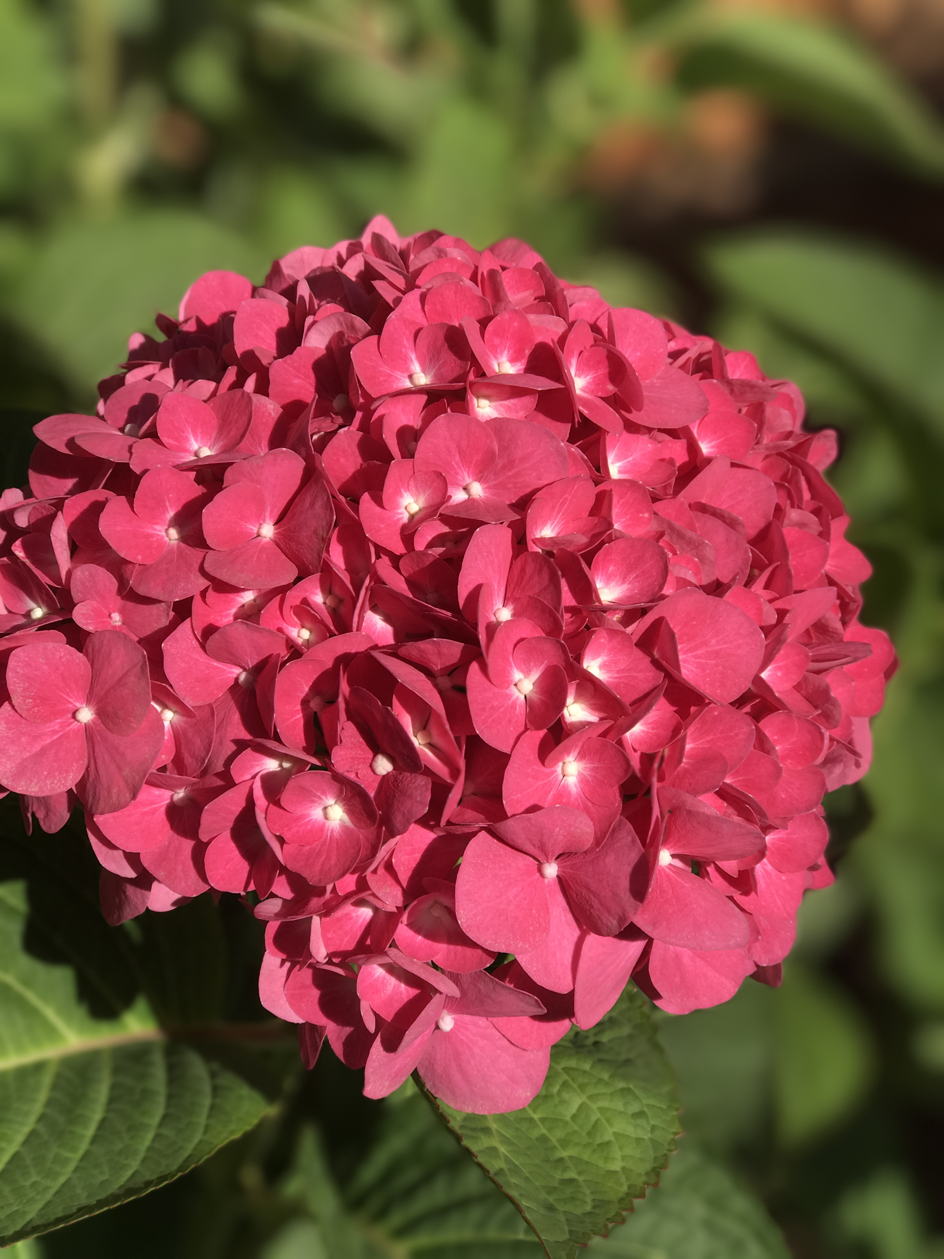 A Hadith to Give Hope to People Struggling With Addiction | Tails of ...